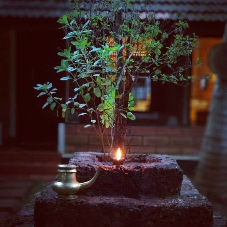 Dhanteras Puja Rituals And Timings: A Step-By-Step Guide